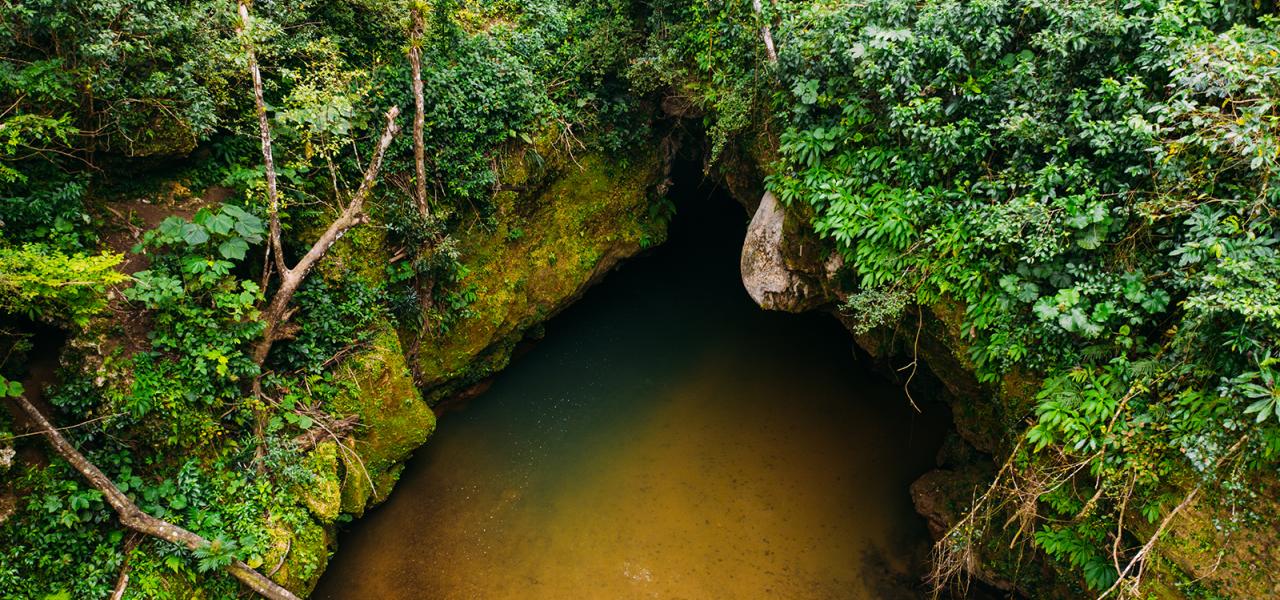 Explorando Cuevas En Puerto Rico By Discover Puerto Rico