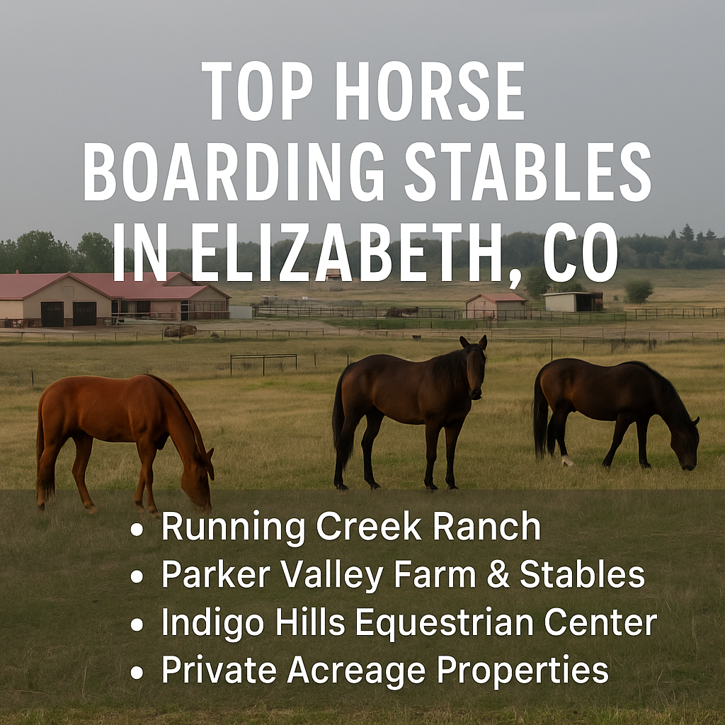 Horse Boarding Stables in Elizabeth, CO: A Guide for Buyers and Sellers