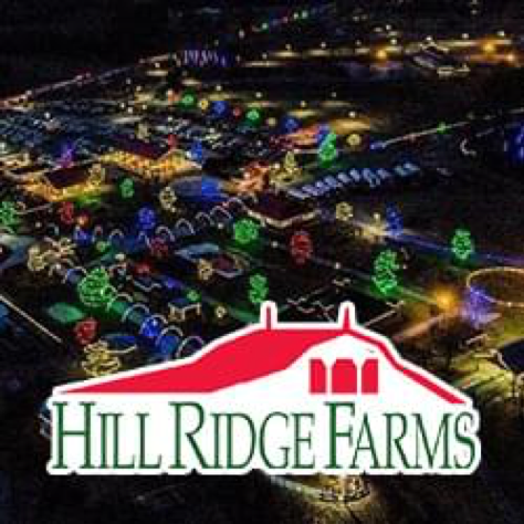 Holiday Light Displays in the Triangle (plus a Bonus!)